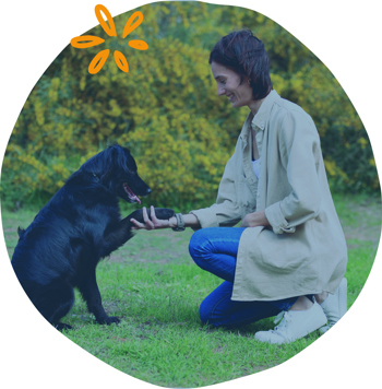 Brand Statements | Continental Kennel Club