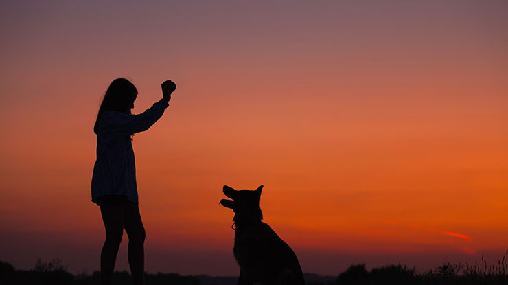Eco-Friendly Dog Owners Can Live a Sustainable Life with Their Pets
